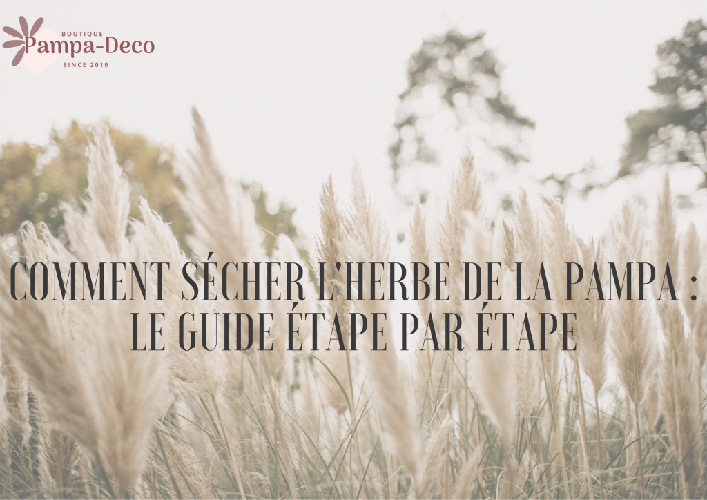 Comment sécher l'herbe de la pampa ? Le guide étape par étape